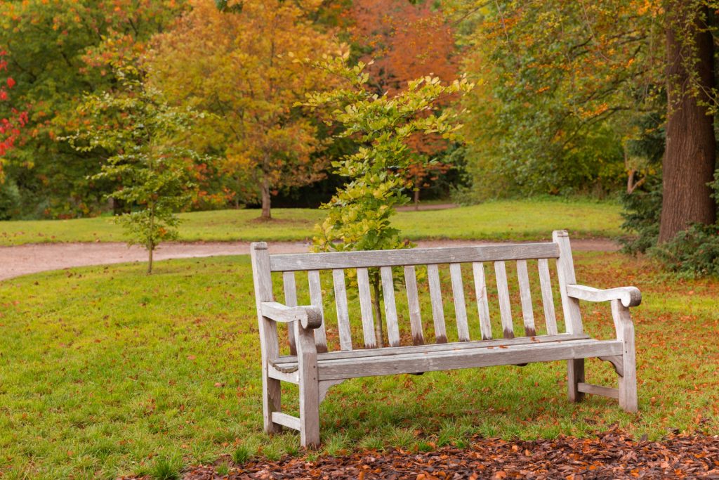 A Win for Urban Parks: Barragán Celebrates Reinstatement of Urban Park ...
